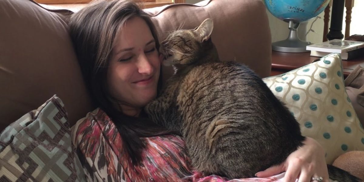 Cat Senses Baby Coming from His Pregnant Human - Love Meow