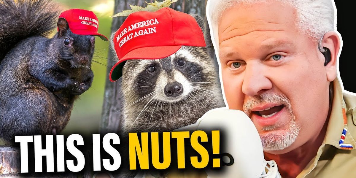Why Peanut the Squirrel PERFECTLY summarizes the 2024 election - Glenn Beck