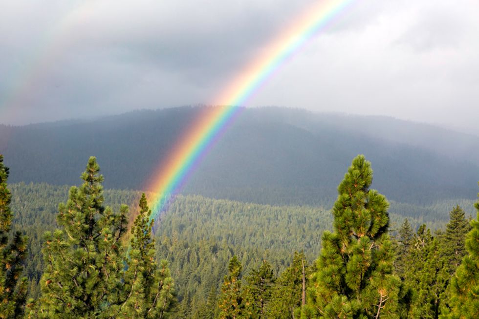 Escape From SF: Tahoe's Calpine Fire Lookout - 7x7 Bay Area