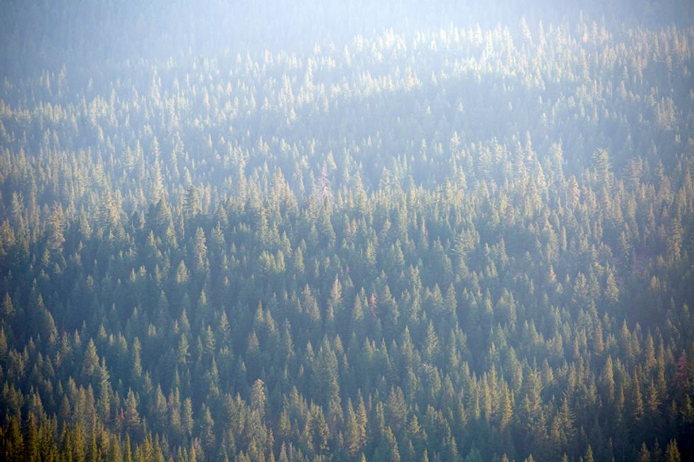 Escape From SF: Tahoe's Calpine Fire Lookout - 7x7 Bay Area