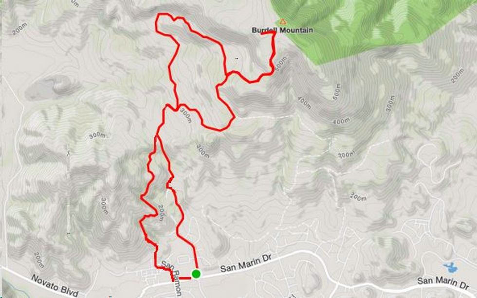Try this Lush Hike on Burdell Mountain - 7x7 Bay Area
