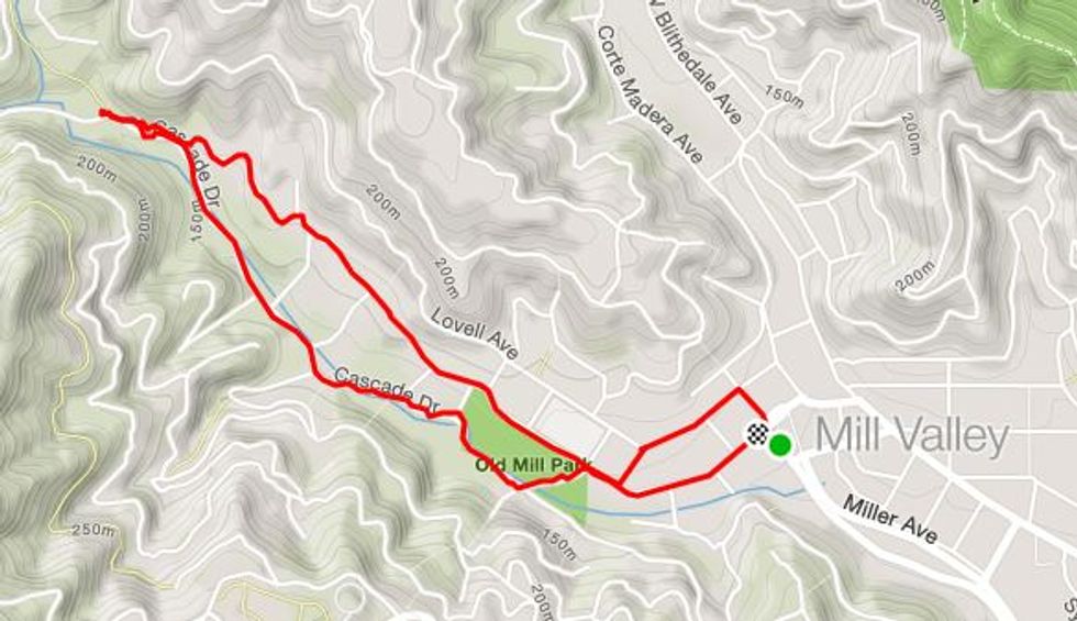 Discover Mill Valley’s Cascade Falls, a Bay Area Gem - 7x7 Bay Area