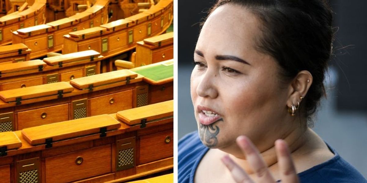 Protest Haka preformed in New Zealand government becomes rallying cry ...