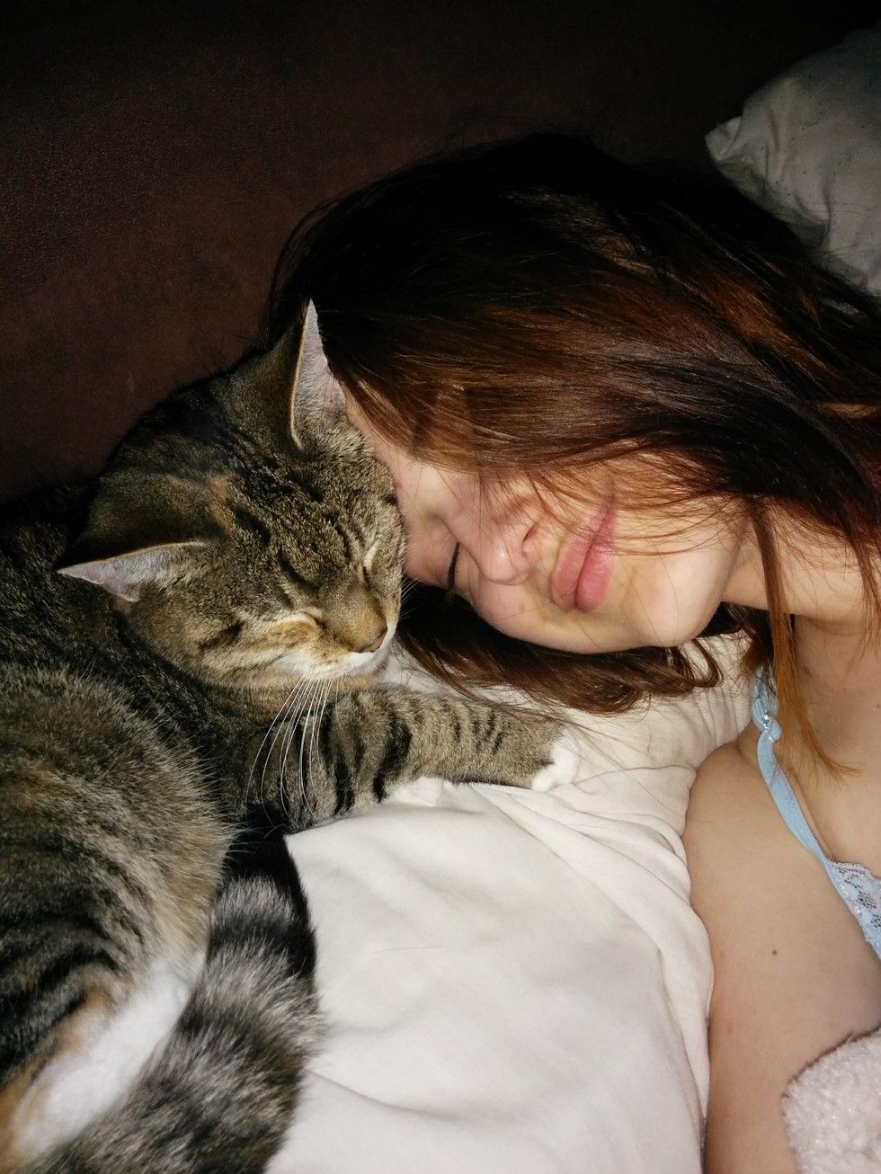 Cat Loves Her Human So Much She Hugs and Watches Over Her Every Step of ...