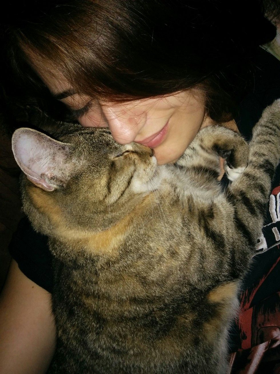 Cat Loves Her Human So Much She Hugs and Watches Over Her Every Step of ...