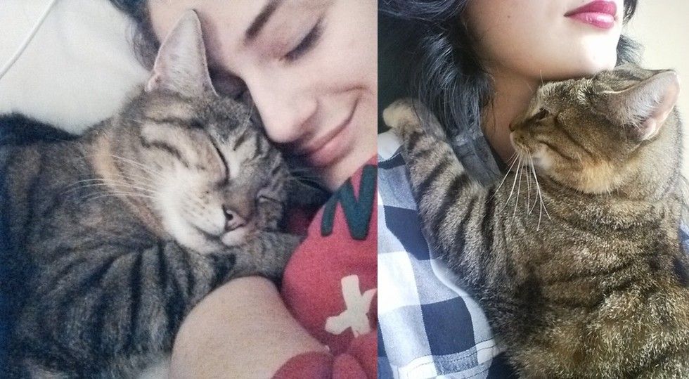 Cat Loves Her Human So Much She Hugs and Watches Over Her Every Step of ...