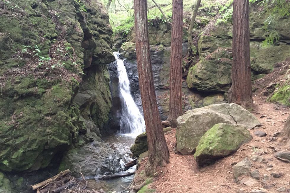 Discover Mill Valley’s Cascade Falls, a Bay Area Gem - 7x7 Bay Area