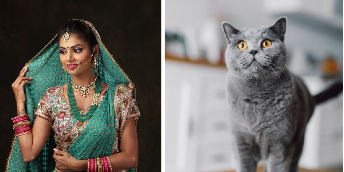 Watch: Indian woman's sari bond with 'cat she didn't want' is ...