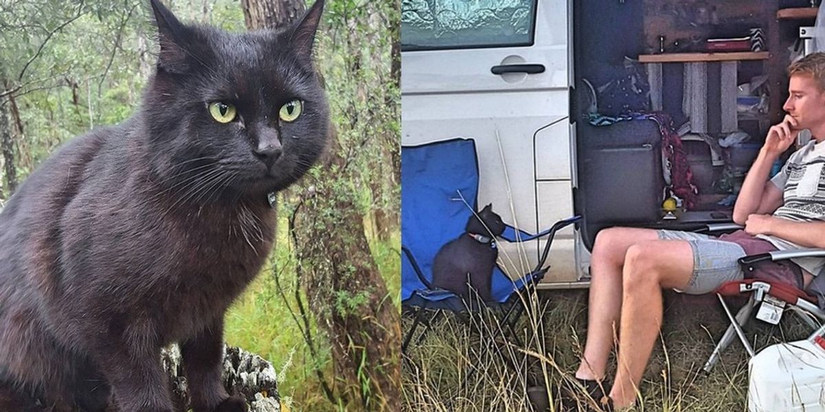 Man Left His Job and House to Travel With His Cat Who Rescued Him ...