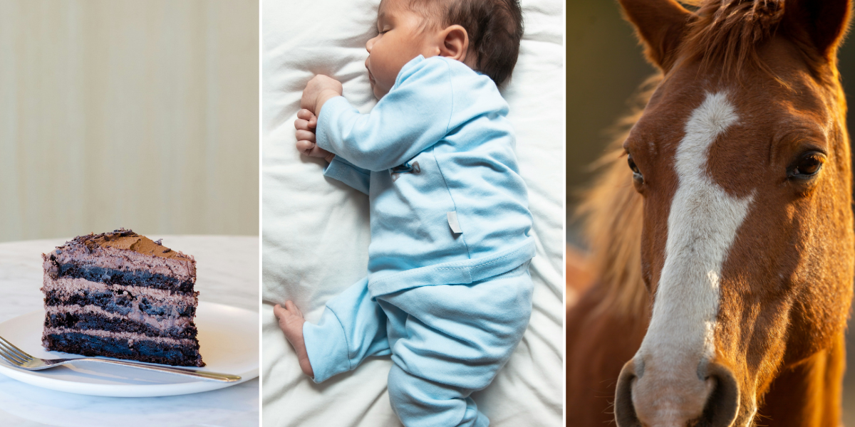 13 idioms that make zero sense until you know where they come from - Upworthy