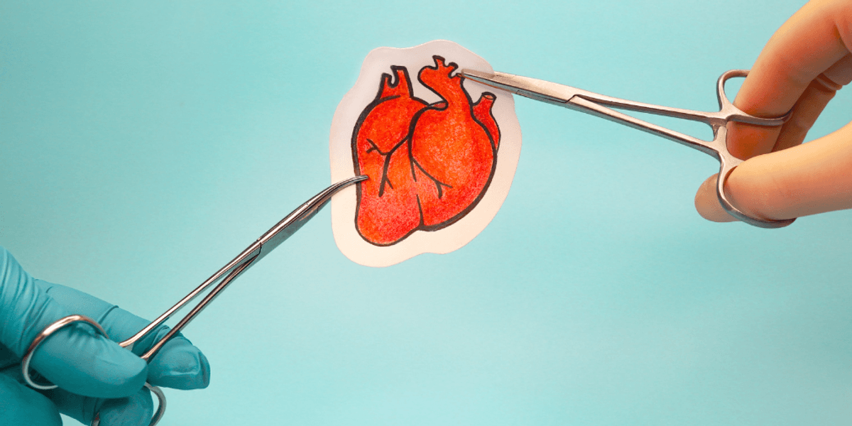 Health experts created a patch that can repair damaged hearts - Upworthy