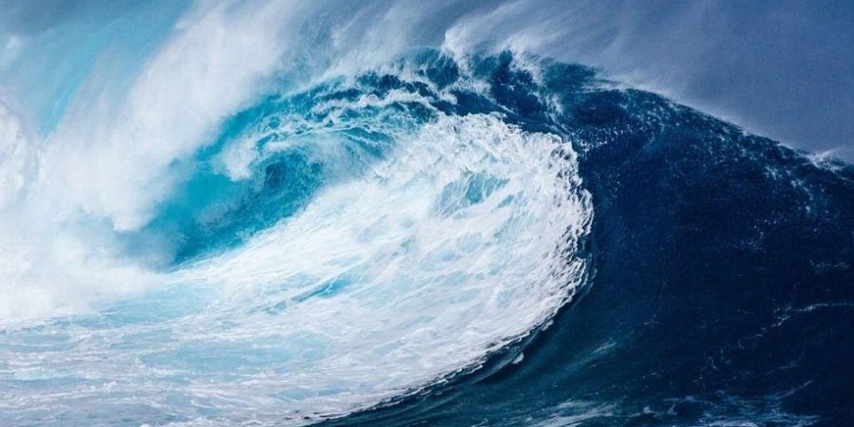 Long-forgotten 1981 film 'The Wave' resurfaces with lessons about ...