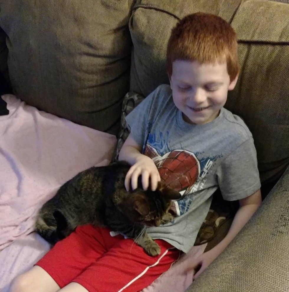 9-year-old Boy with Autism Breaks into Tears When He Reunites With Cat ...