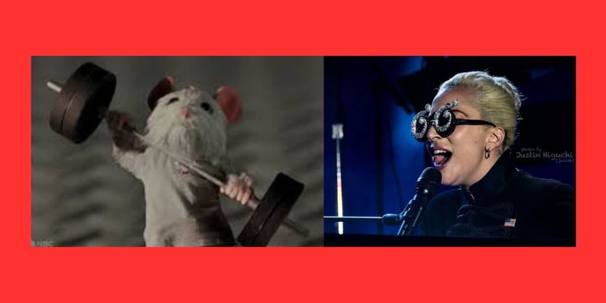 Lady Gaga fans beg her to make 'Pip' song from SNL her next single - Upworthy