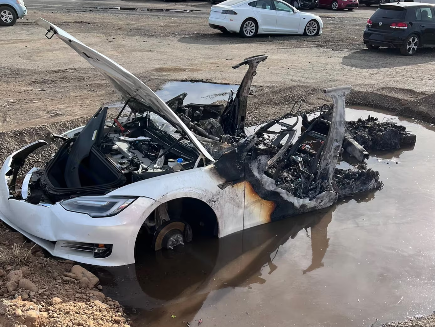 Musk's Infamy Is Sinking Tesla Sales - And Its Stock Price - National Memo