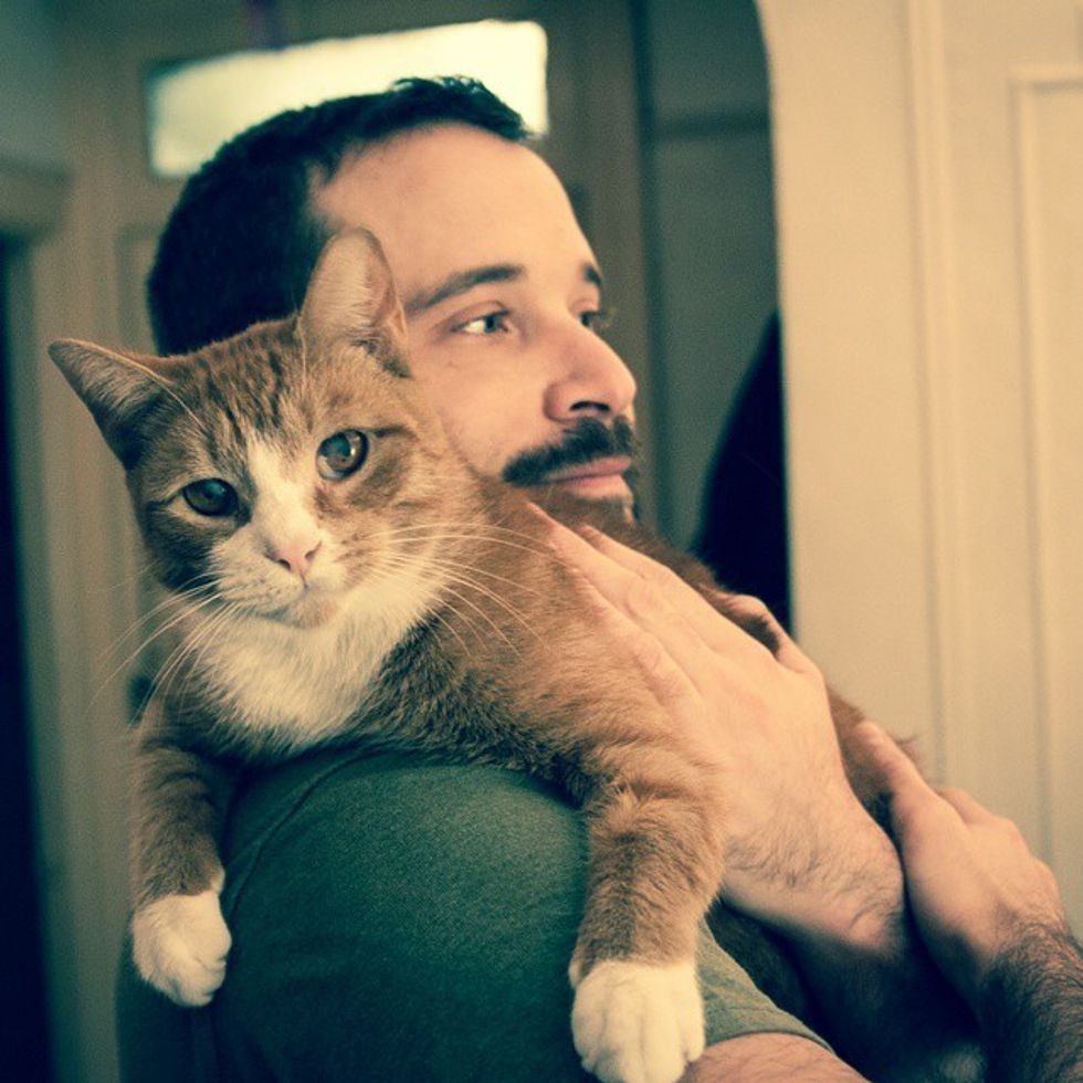 Man Took Cat Out of the Shelter and the Cat Hasn't Stopped Cuddling Him ...