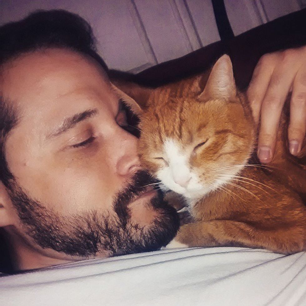 Man Took Cat Out of the Shelter and the Cat Hasn't Stopped Cuddling Him ...