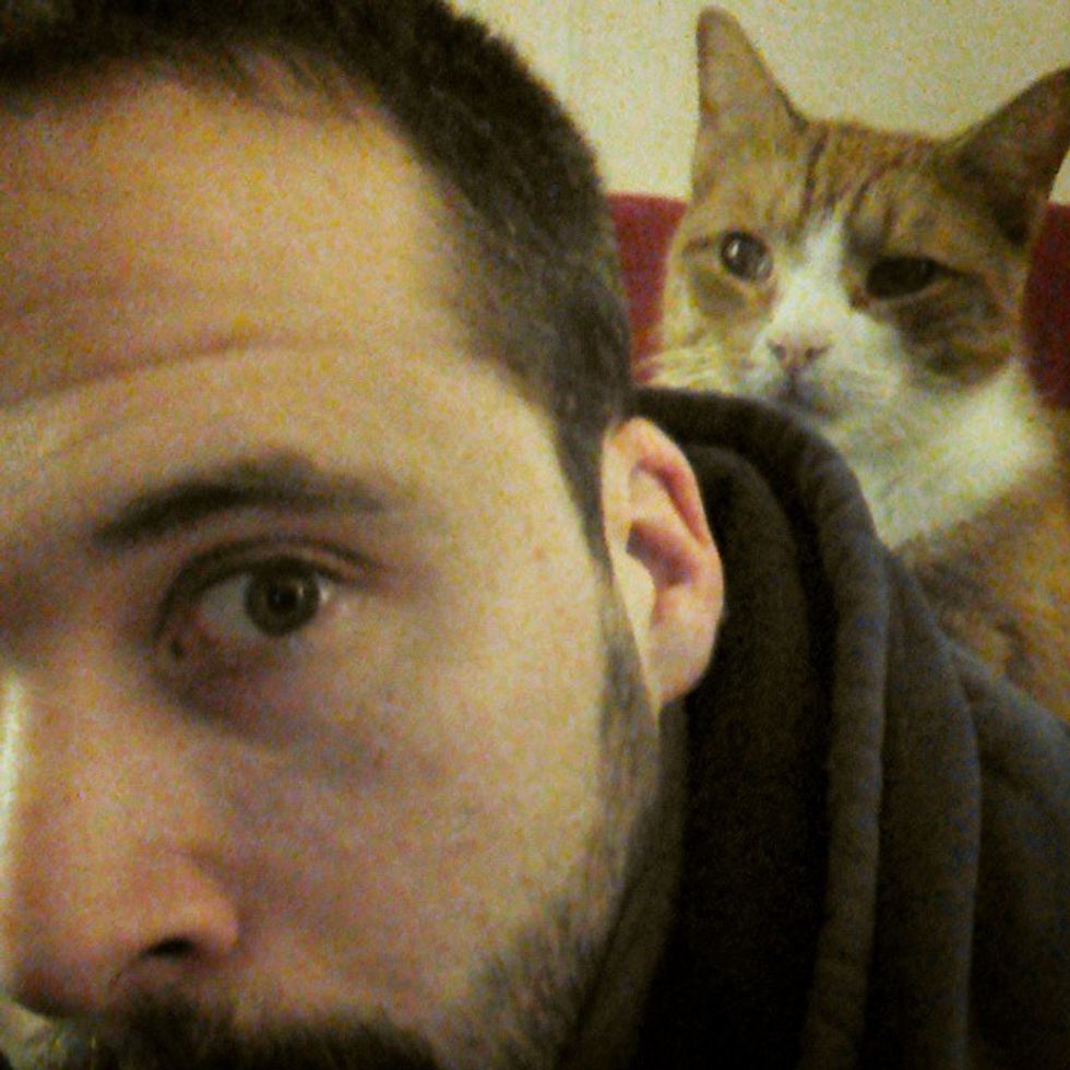 Man Took Cat Out of the Shelter and the Cat Hasn't Stopped Cuddling Him ...