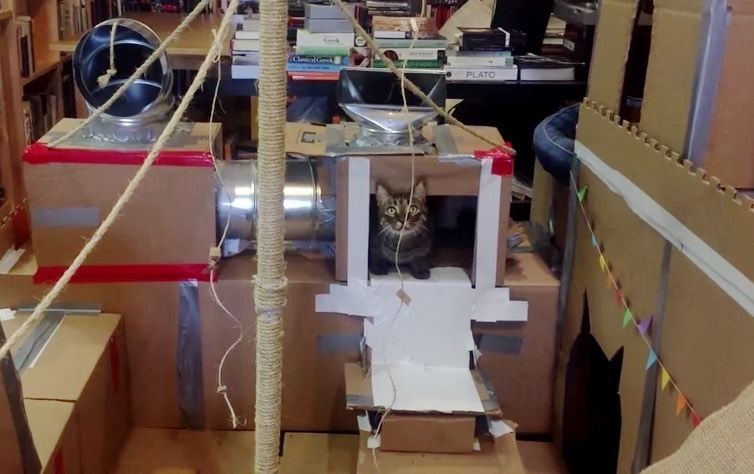 Man Tries to Build the Greatest Cat Fort for His Cat - Love Meow