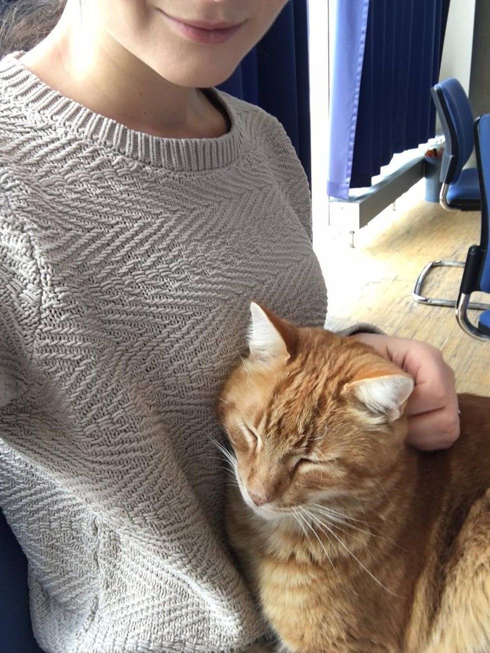 Cat Comes to School Every Day So He Can Rescue Students with Cuddles ...
