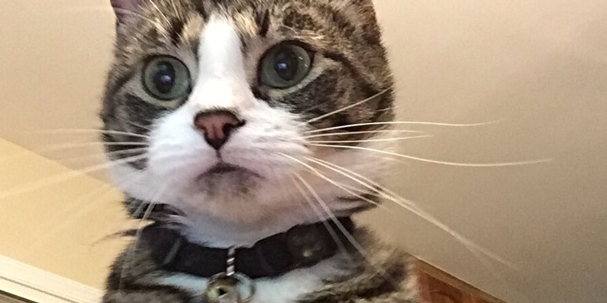 "My Laptop is Set Up to Take a Picture After 3 Incorrect Password ...