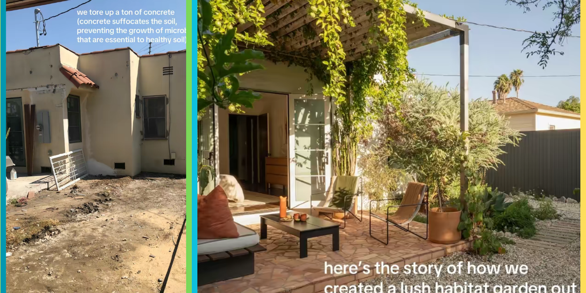 Mother and daughter reveal how they transformed boring backyard into ...