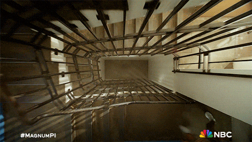 Kids death-staring into judges' souls while showing pigs has people ...