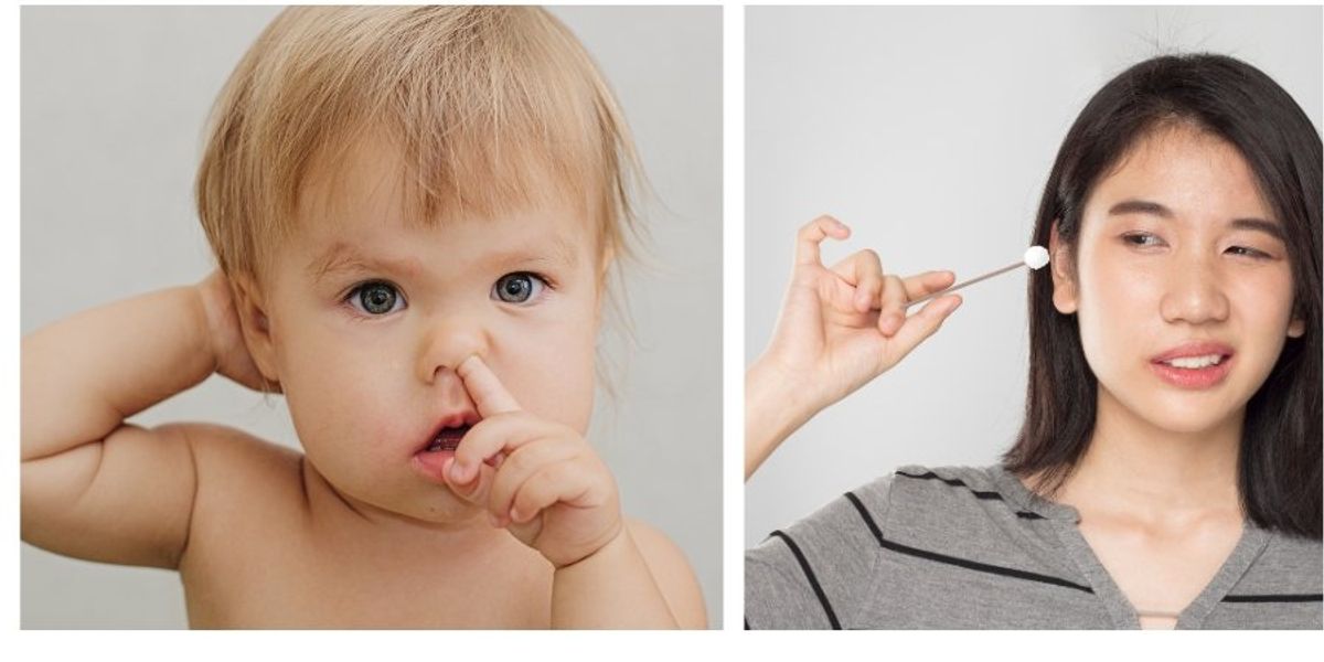 After an epic, unhinged debate about boogers vs. earwax, real doctors ...