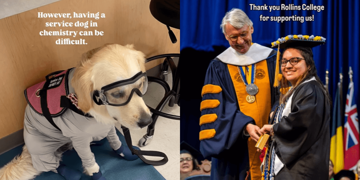 Service dog honored during commencement for chemistry lab training ...