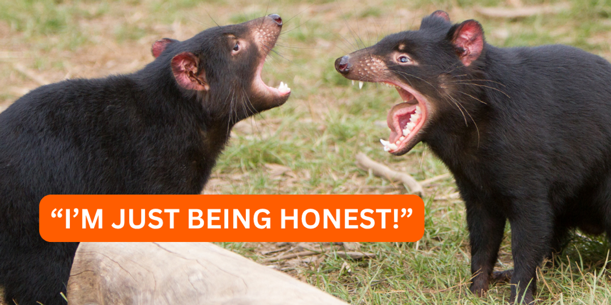 13 common phrases that make people cringe (and what to say instead ...