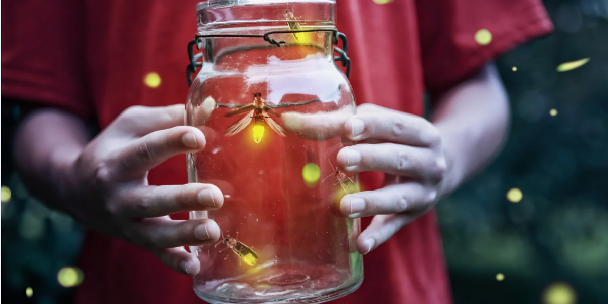 'Last trace of magic': Americans are changing their backyards to save ...