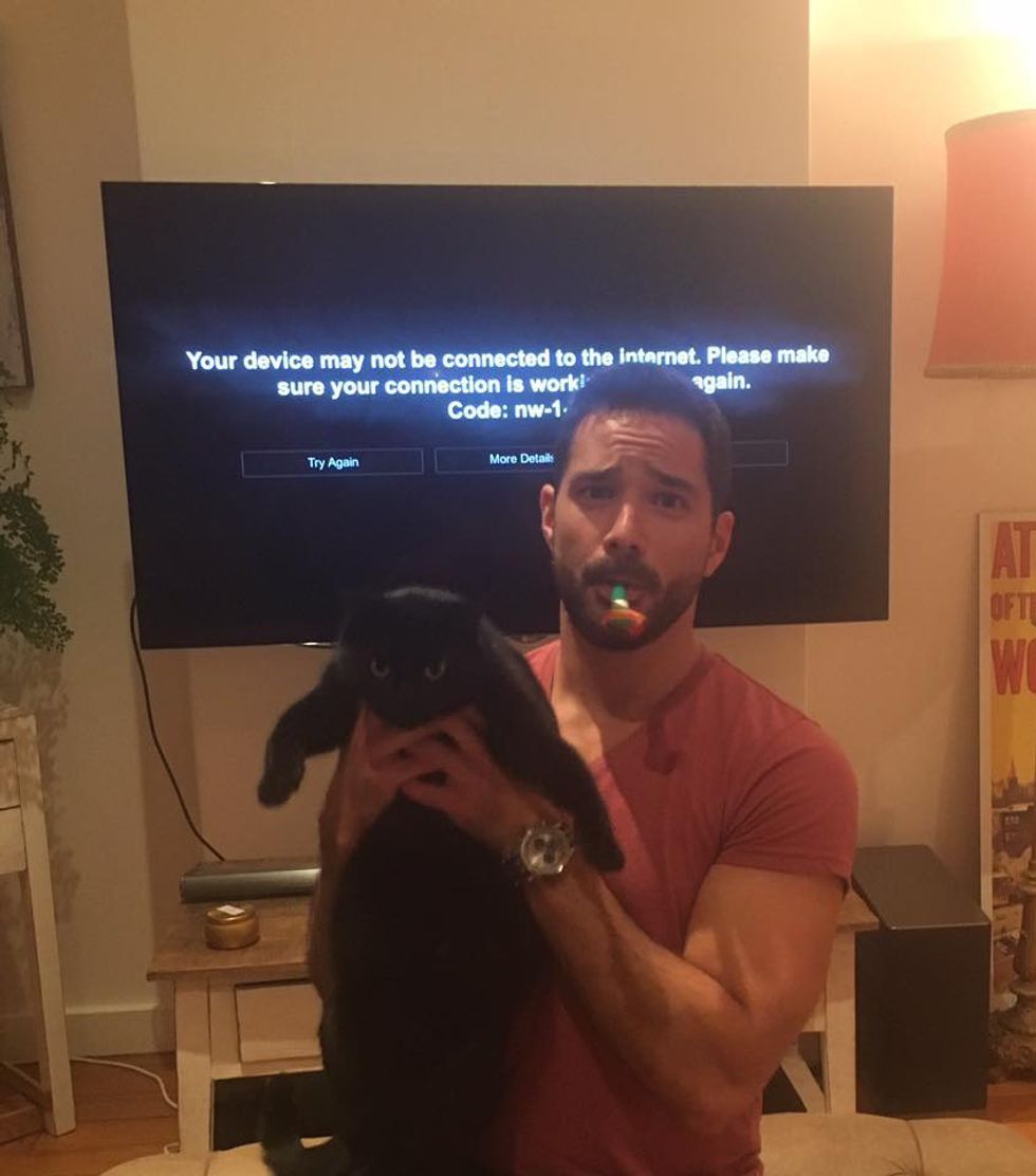 Cat Helps Her Human Get Internet Back and Saves Her from Boredom - Love ...