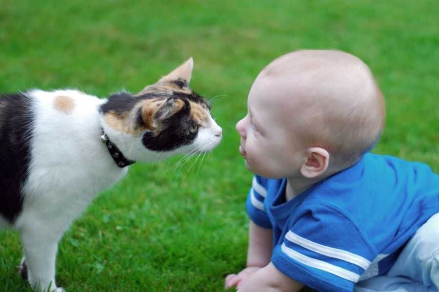 Nat Geo's 'Blink' tracks a family finding beauty while facing blindness ...