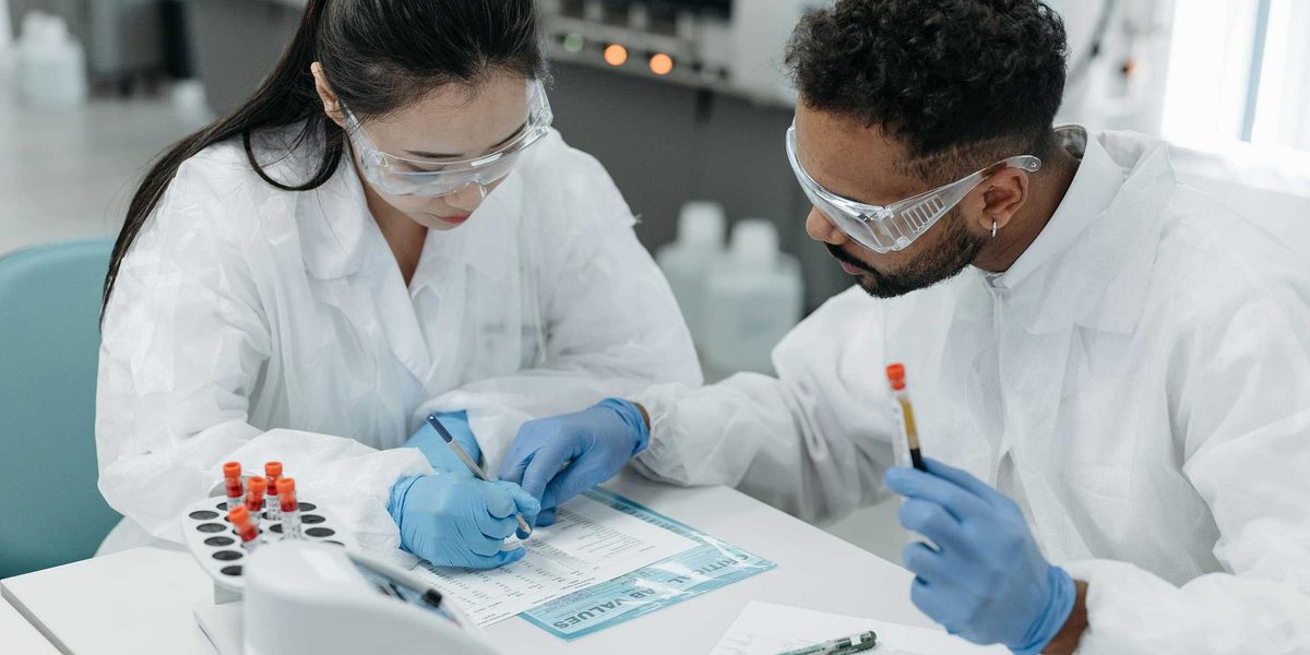 Texas Medical Center institutions launch kidney research incubator ...