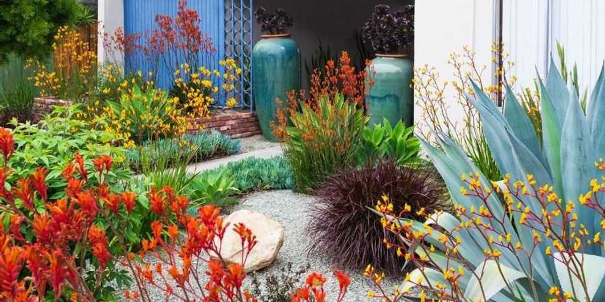 Mom and daughter transform backyard into native plant paradise - Upworthy