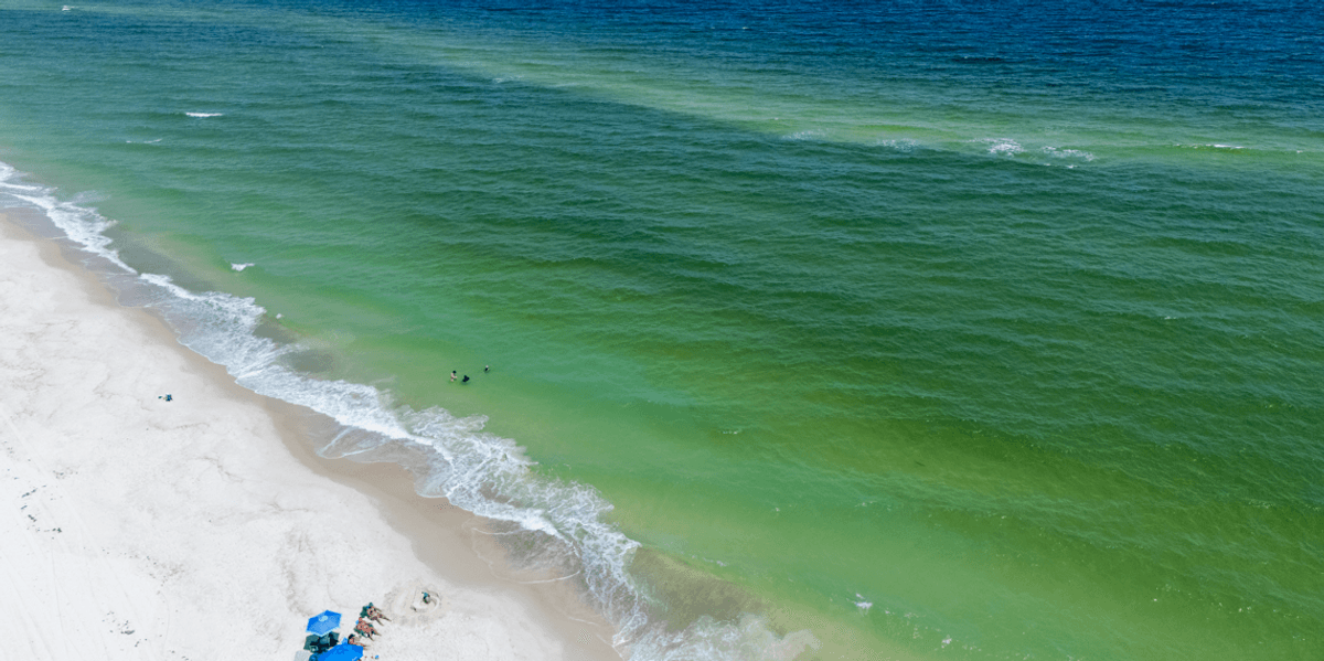 5 Ways to Soak Up Spring on Alabama’s Beaches - It's a Southern Thing