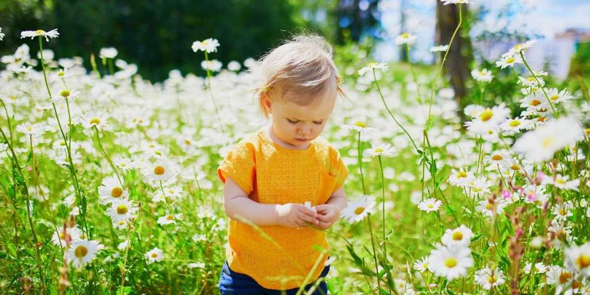 Classic 'Pick More Daisies' poem is inspiring a new wave of advice to ...