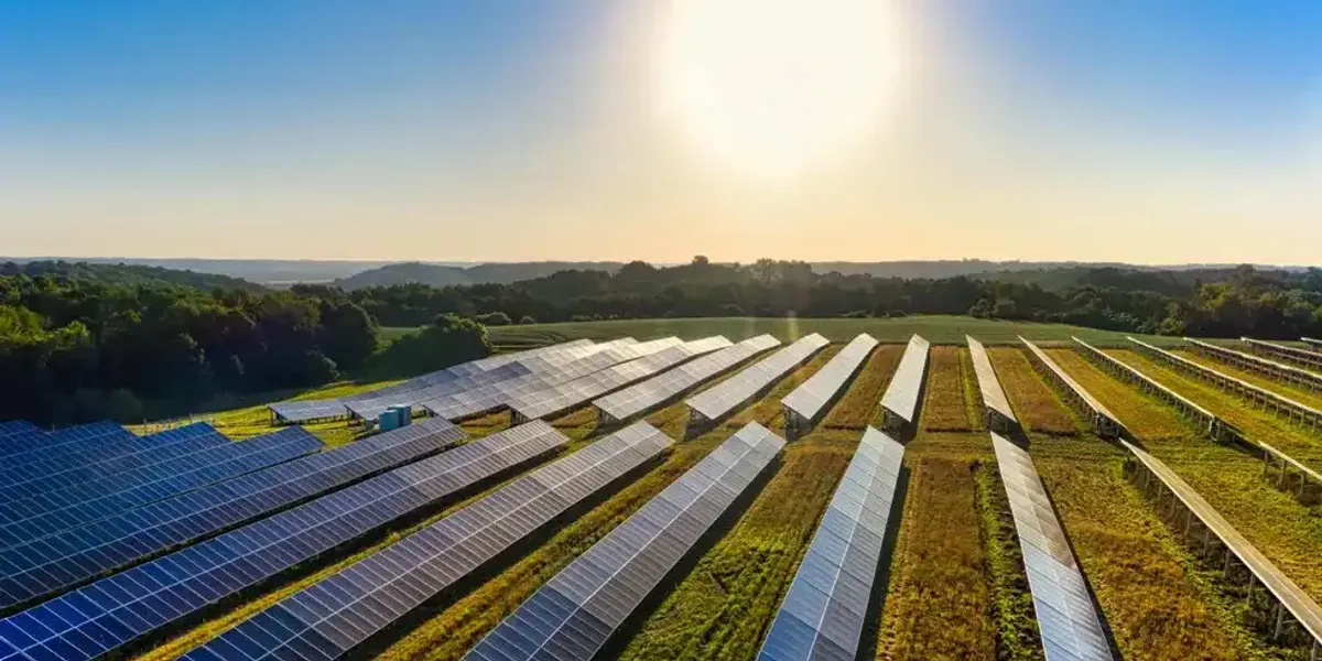 Guest column: Texas must make energy transmission a top priority ...