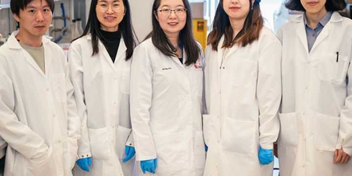 UH researchers develop nanodrug for lung, pancreatic cancer ...