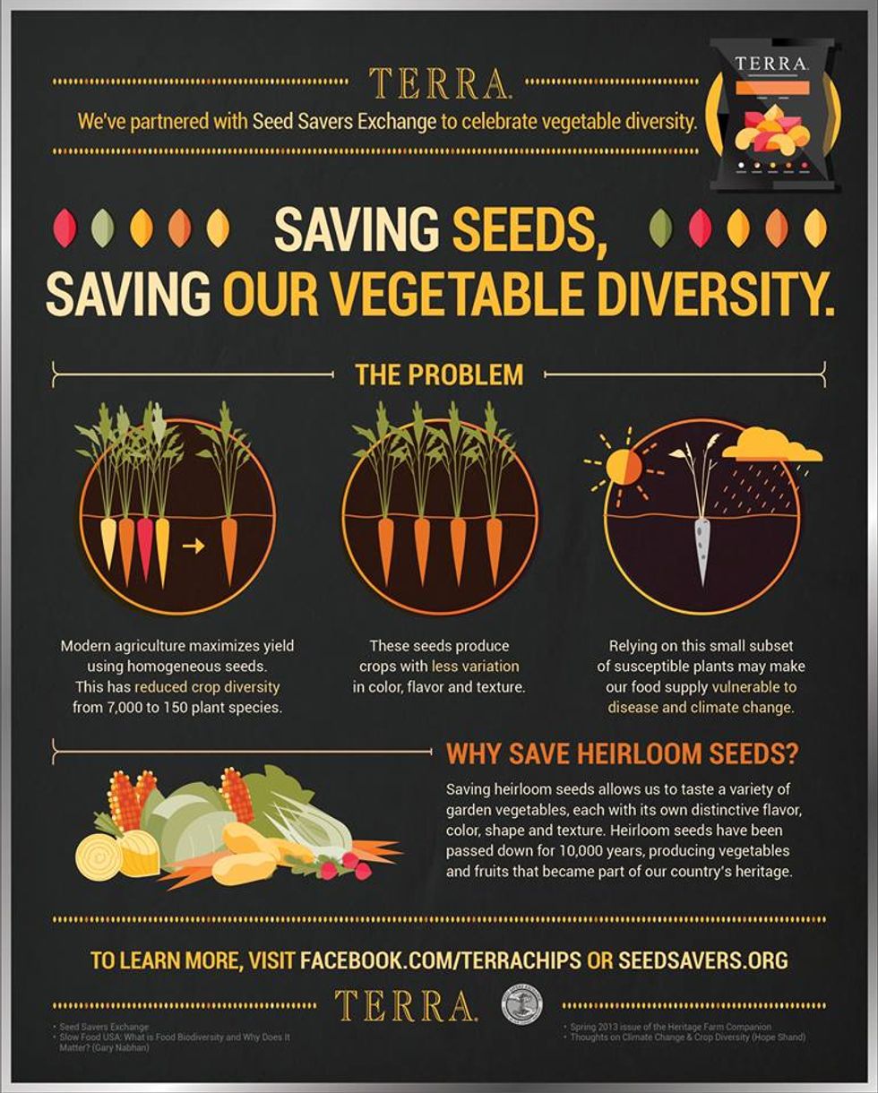 Save Seeds To Protect Biodiversity Ecowatch