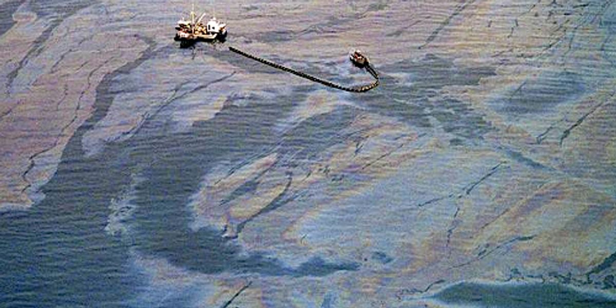 BP Disaster Recovery Through the Lens of the Exxon Valdez Oil Spill ...