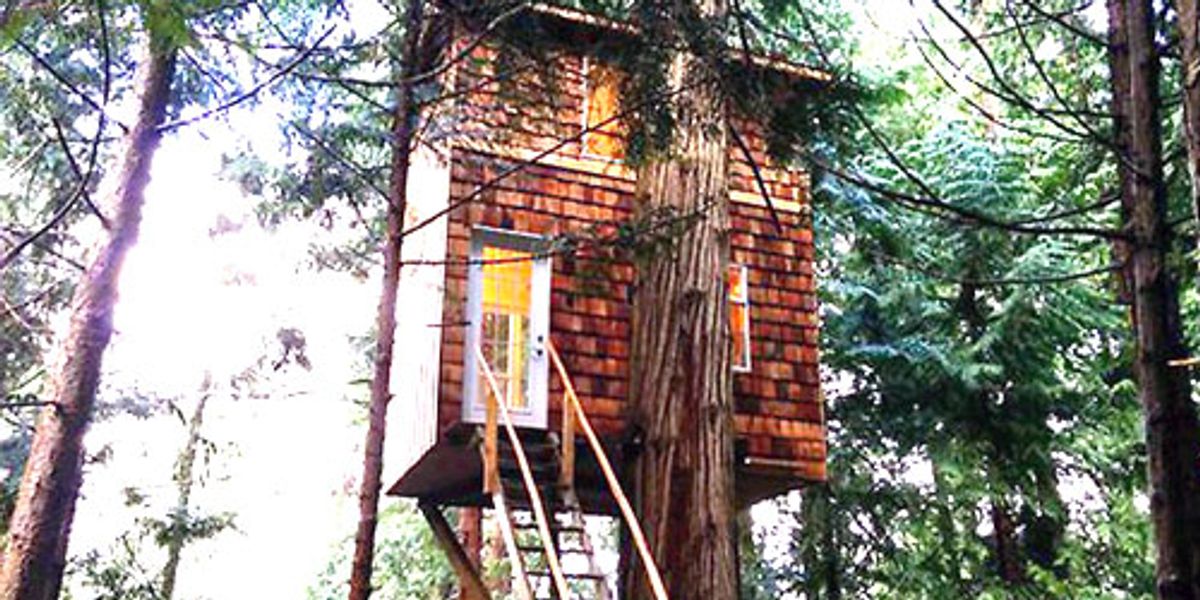 If You've Ever Wanted to Live in a Treehouse, You've Got to Check This ...