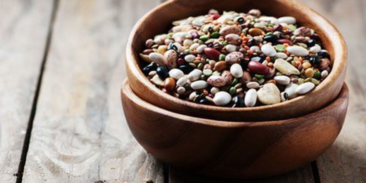 What Are Antinutrients and Why Should I Care? - EcoWatch