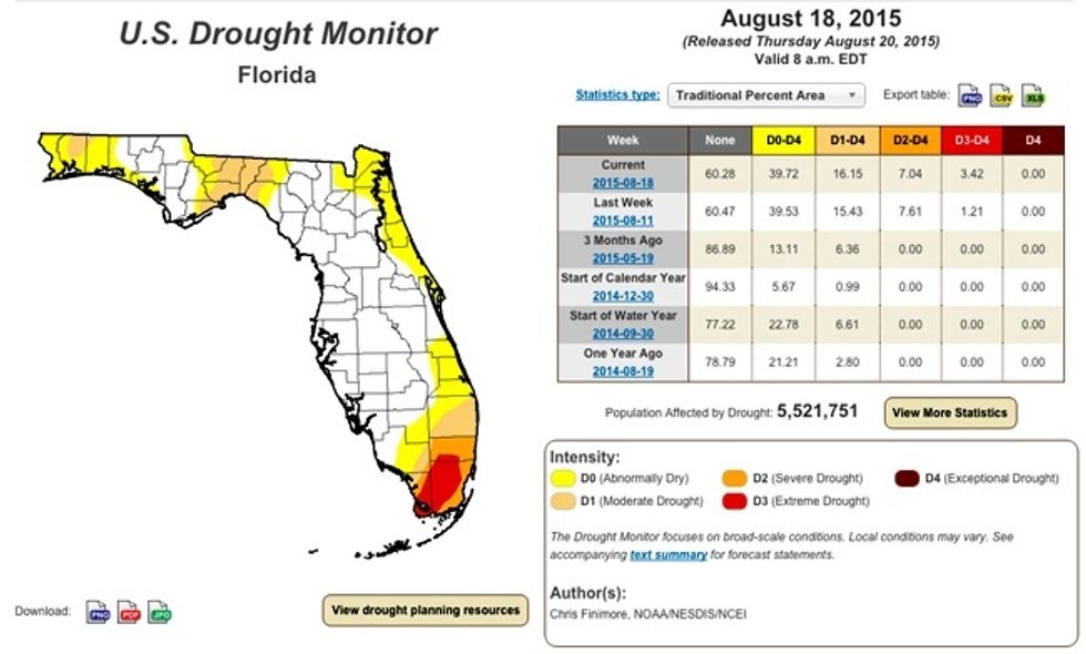 Extreme Drought Hits South Florida - EcoWatch