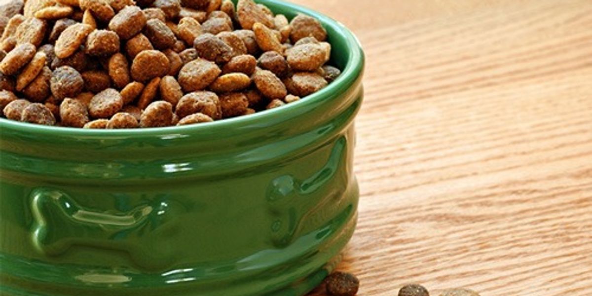 The Truth About Pet Food - EcoWatch