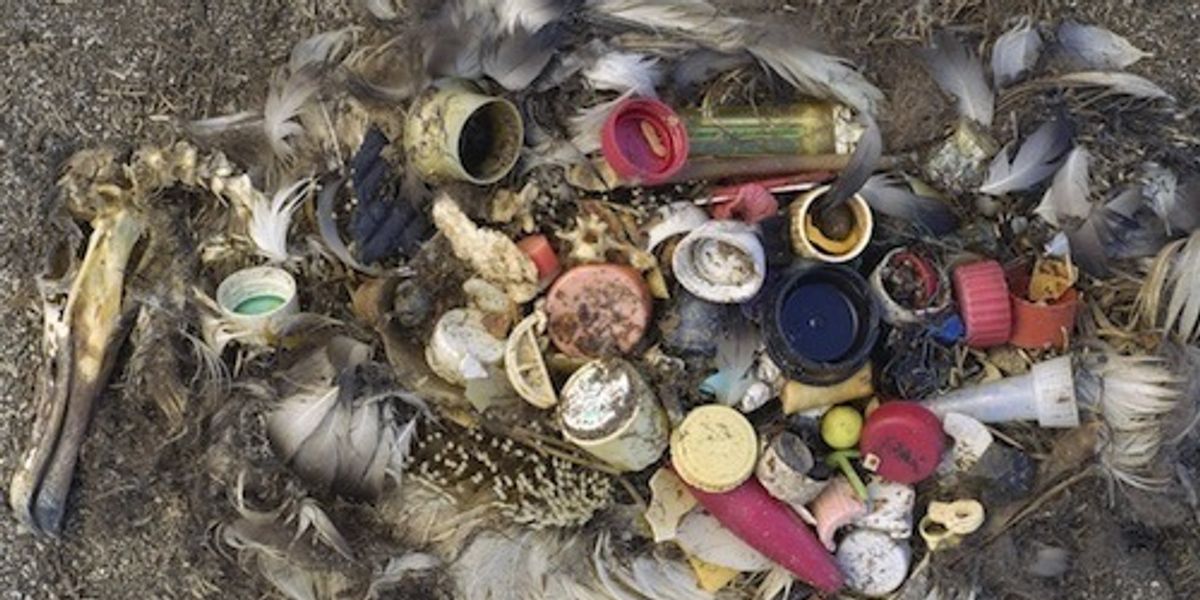 10 Stunning Images Show Human's Huge Impact on the Earth - EcoWatch