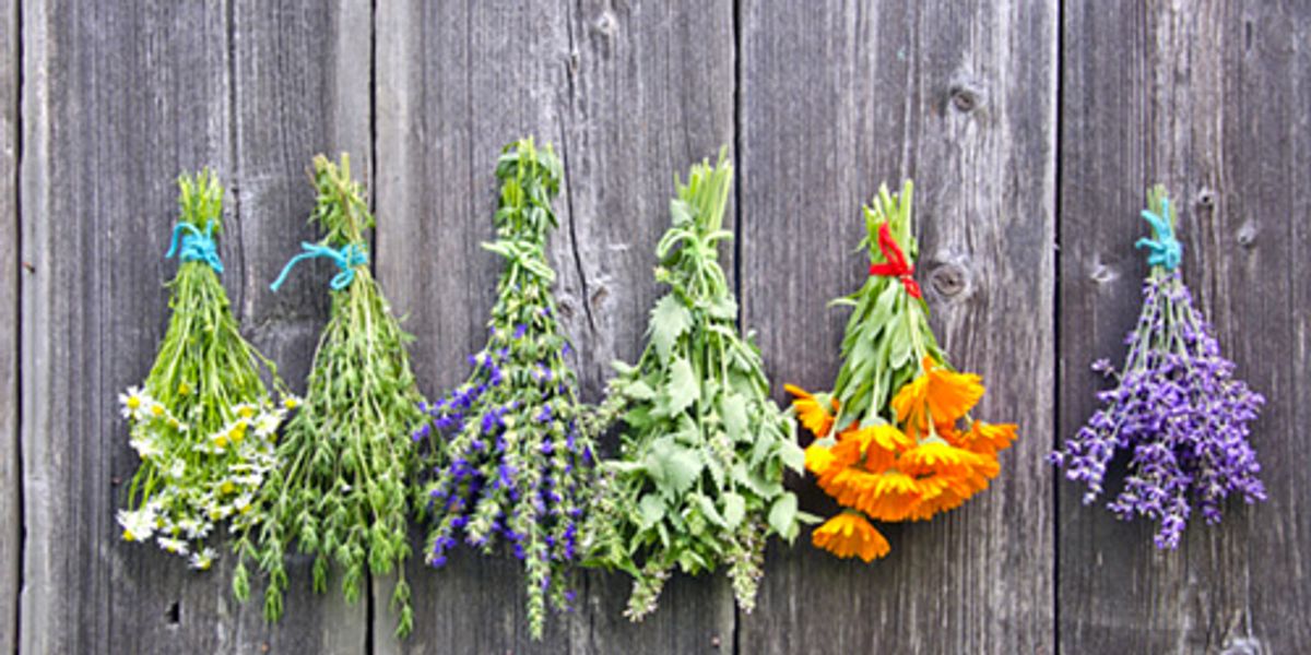 5 Health Benefits of Adding Herbs to Your Diet - EcoWatch