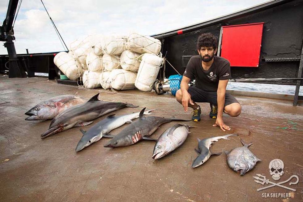 Shocking Footage of Illegal Fishing in the Indian Ocean - EcoWatch
