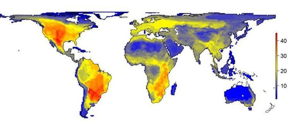 What the World Would Look Like Without Humans - EcoWatch