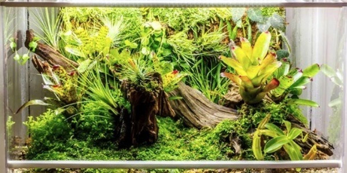 World's First Smart Microhabitat Grows Just About Anything - EcoWatch
